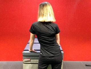 Physio Rehab | Exercise Library | Lumbar Spine, SIJ and Core